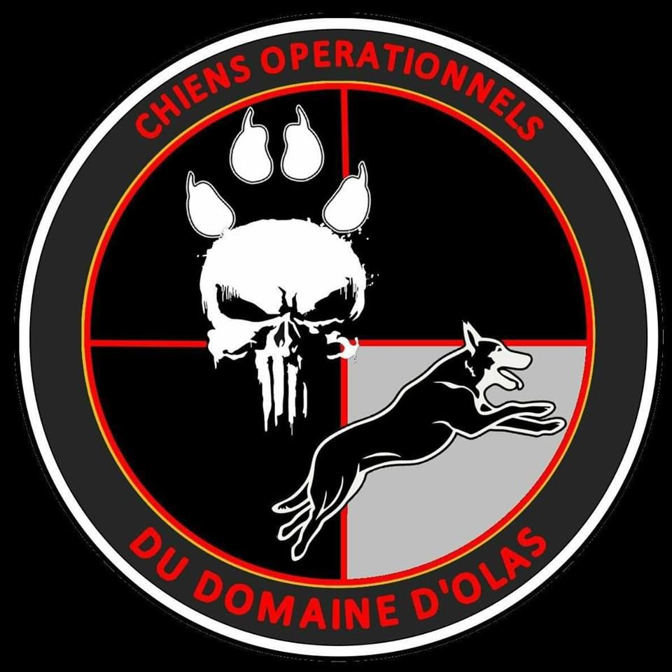 Accueil - Elevage Du Domaine D'Olas - eleveur de chiens Berger Belge